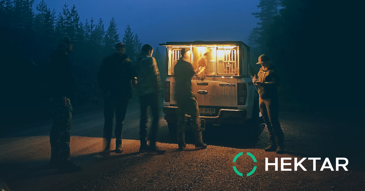 Upptäck jaktmarker | Hektar